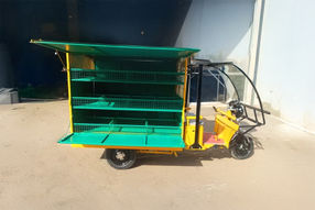 Bhavi Vegetable Cart 3 Wheeler Loading Capacity & Dimension