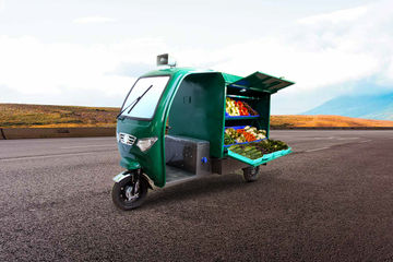 Eko Tejas Fruit Cart Price in 2025 - Fruit Cart Range, Loading Capacity